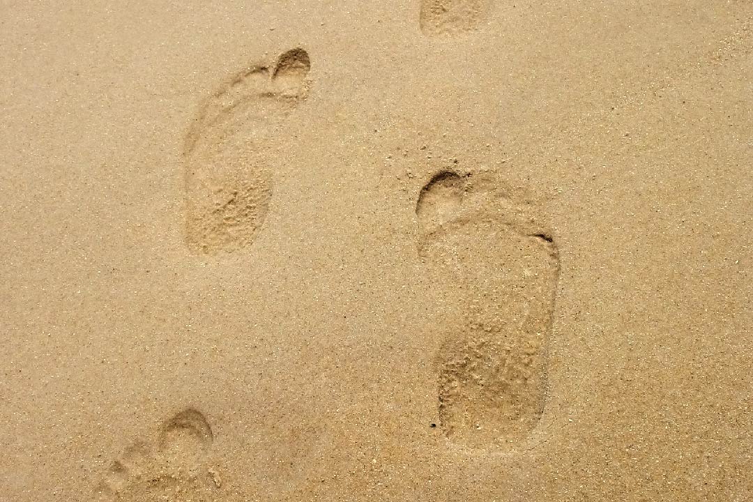 Four approaches to expanding your digital footprint - eResources